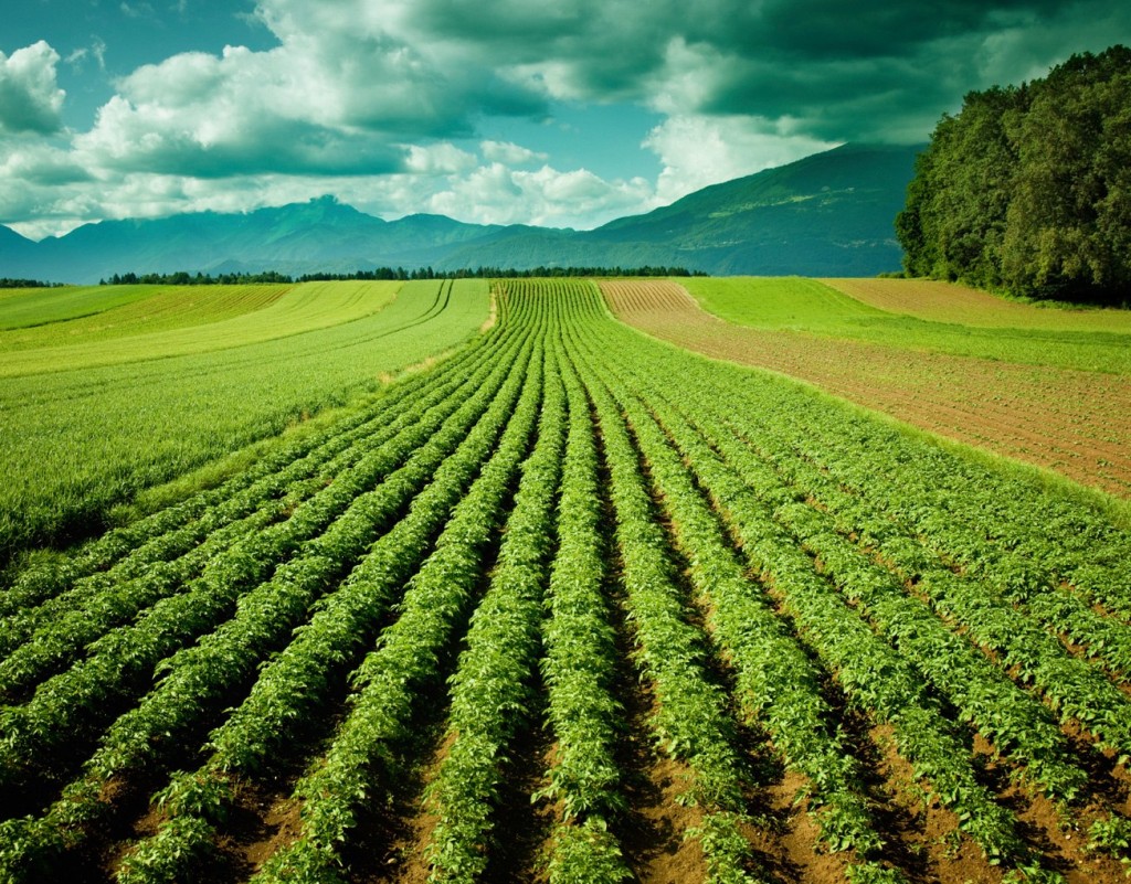 Aprendemos más cuando enseñamos